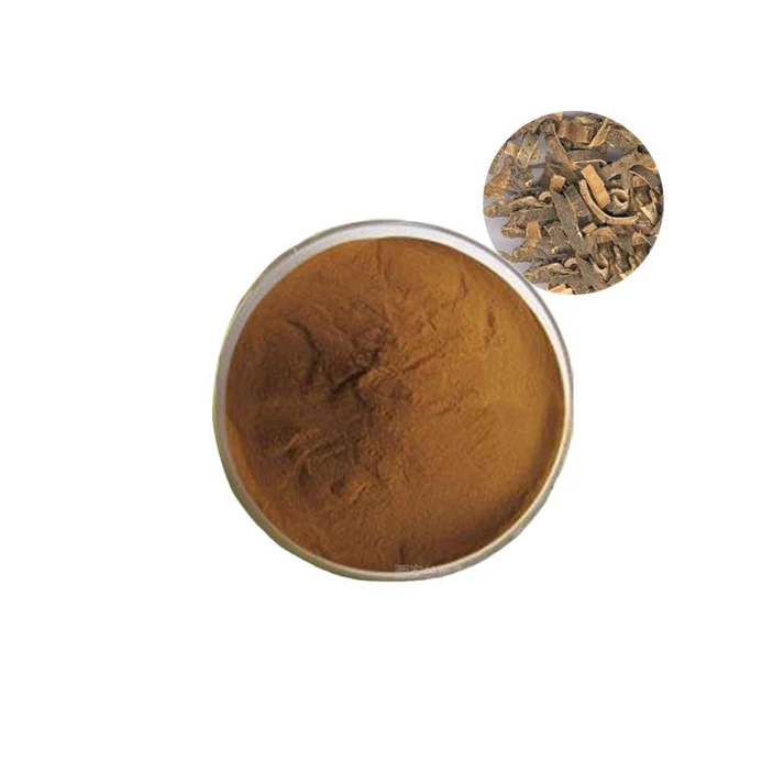 Solis Traders – Solis Traders